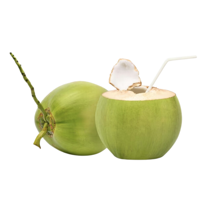 Fado IExport : Fresh Coconut Source, Premium B2B Coconut