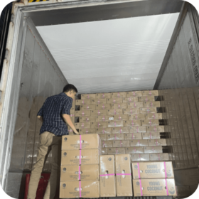 Fado IExport : Fresh Coconut Source, Premium B2B Coconut